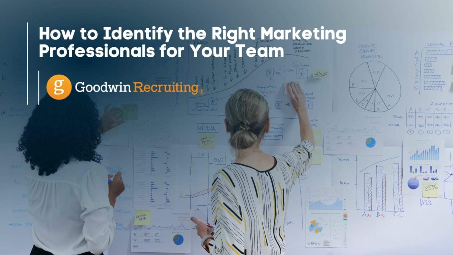 How to Identify the Right Marketing Professionals for Your Team ...